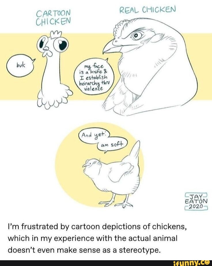 CARTOON REAL CHICKEN CHICKEN I'm frustrated by cartoon depictions of ...
