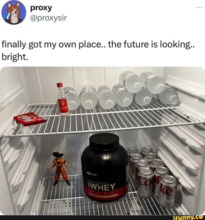 "The world's largest winged cockroach is Megaloblatta longipennis found ...