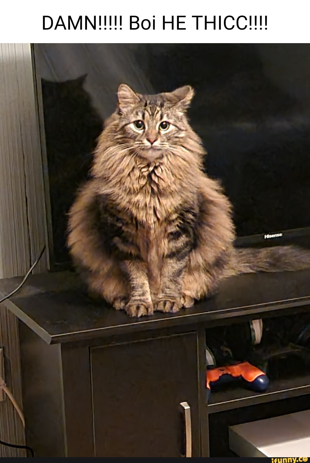 Taiccin memes. Best Collection of funny Taiccin pictures on iFunny