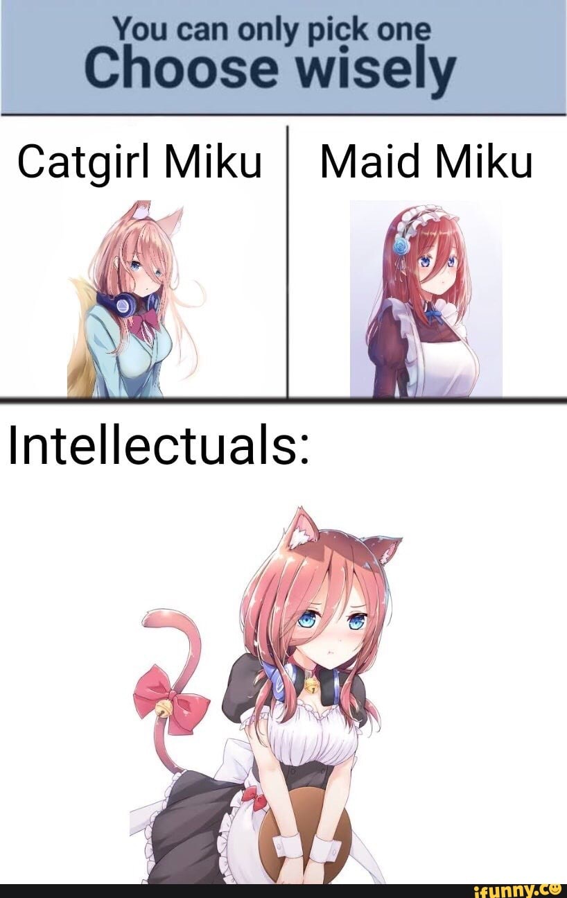 You can only pick one Choose wisely Catgirl Miku I Maid Miku - iFunny
