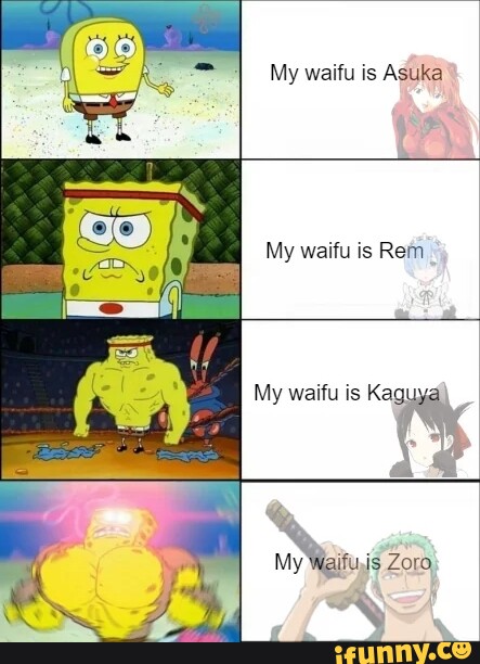 My waifu is Asuka My waifu is Rem My waifu is Kaguya My Waifunis Zoro ...