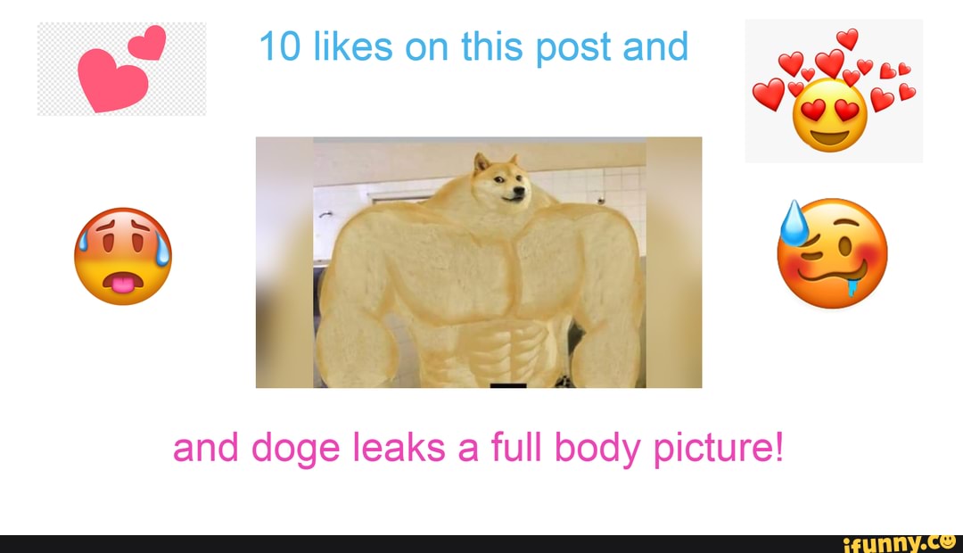 And doge leaks a full body picture! - iFunny