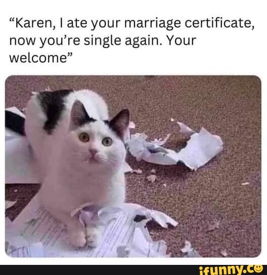 "Karen, I ate your marriage certificate, now you're single again. Your ...