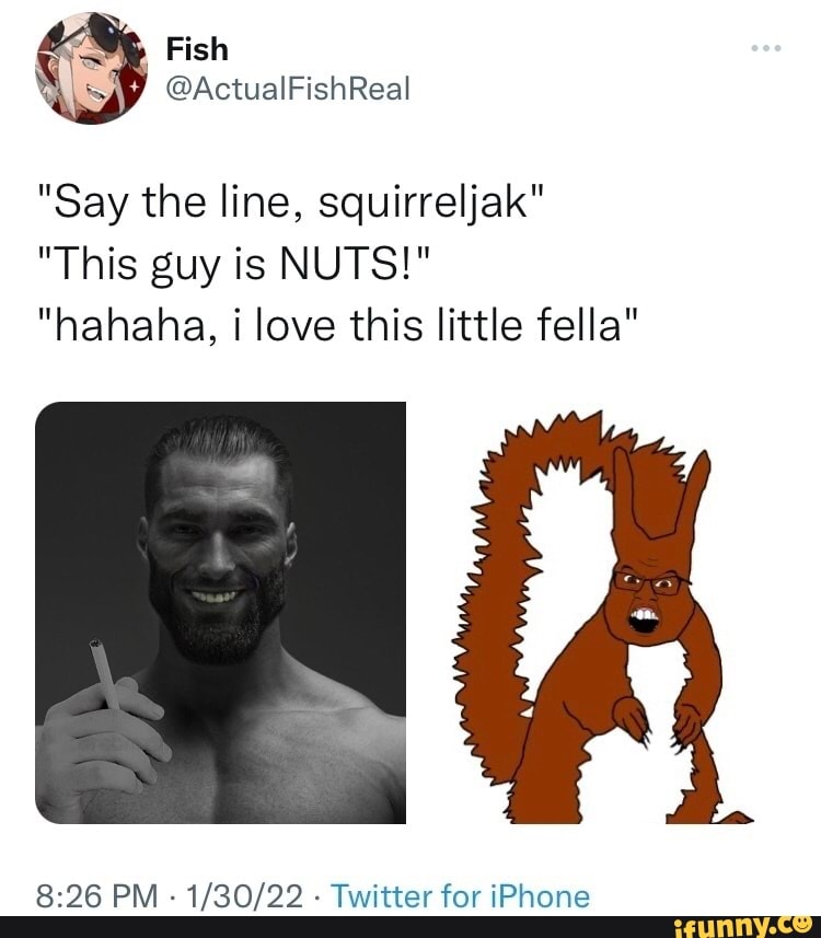 Squirreljak memes. Best Collection of funny Squirreljak pictures on iFunny