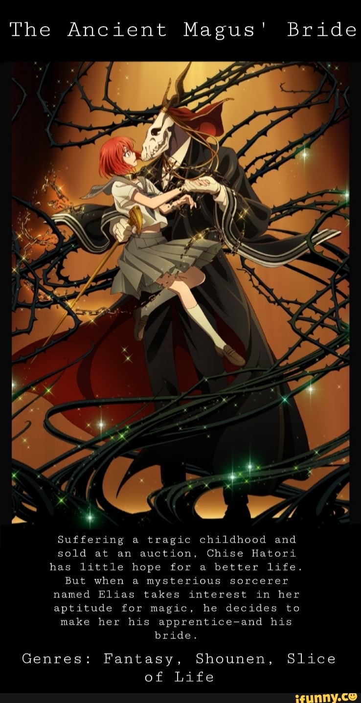 The Ancient Magus' Bride Suffering a tragic childhood and But when a ...