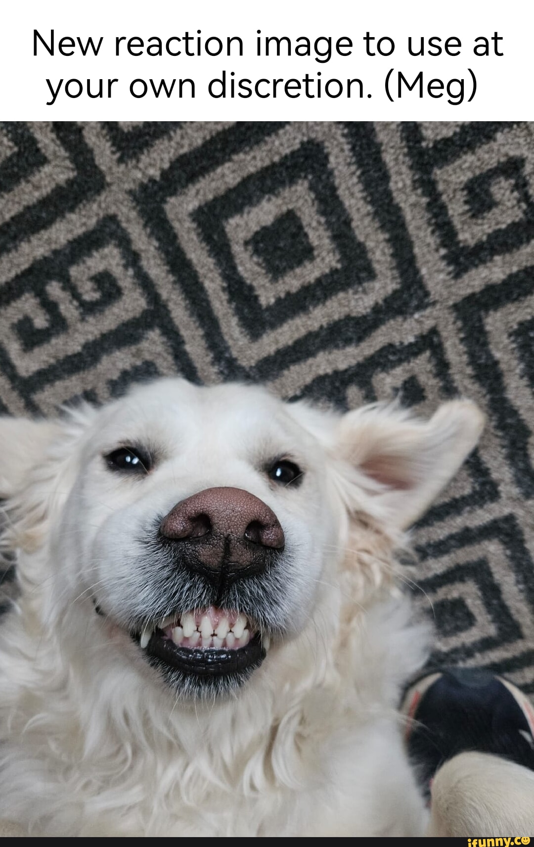 New reaction image to use at your own discretion. (Meg) ore - iFunny