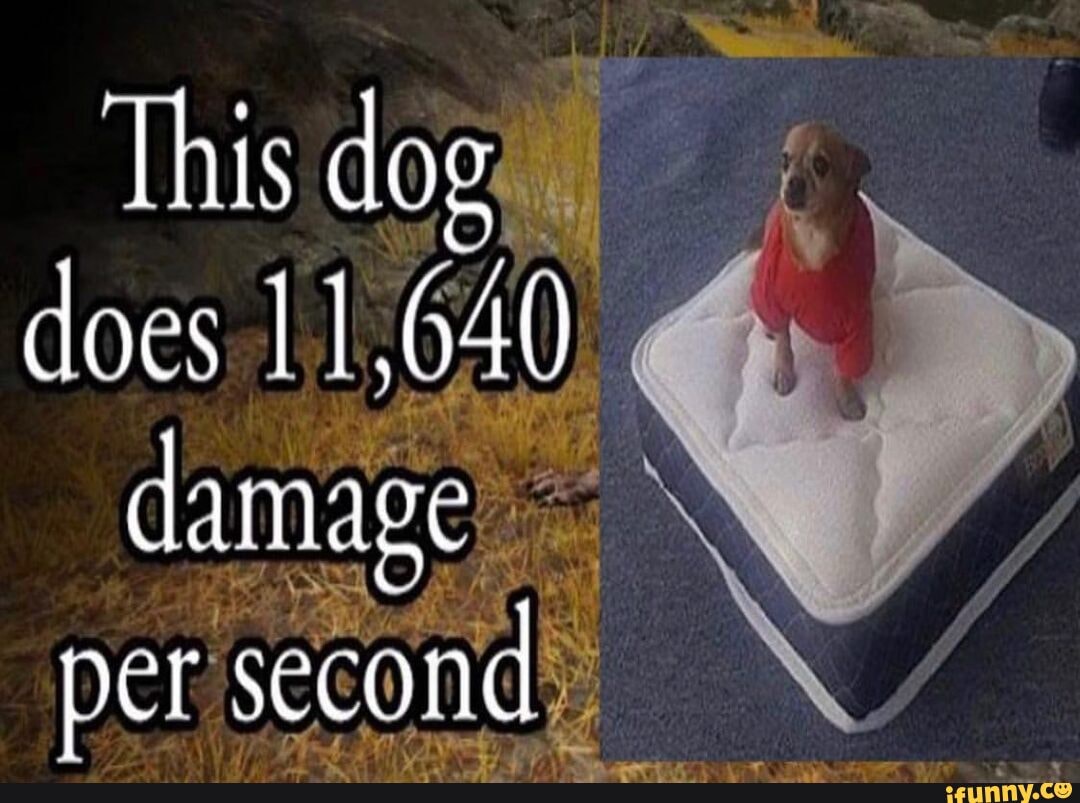 Surreal memes memes. The best memes on iFunny