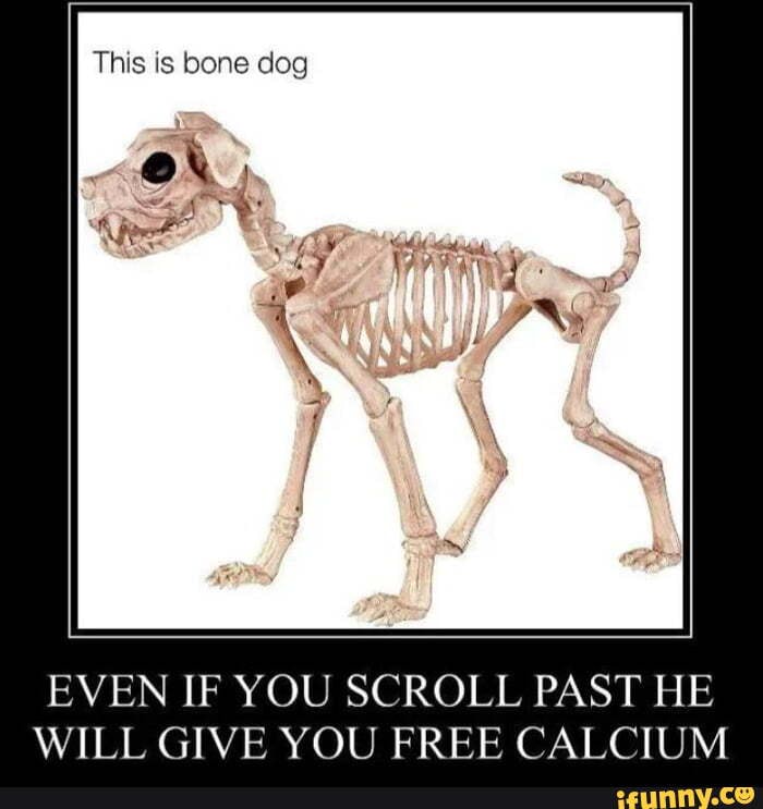 Osteoporosis memes. Best Collection of funny Osteoporosis pictures on ...