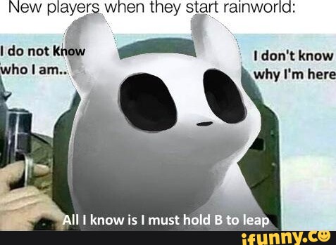 Slugcat memes. Best Collection of funny Slugcat pictures on iFunny