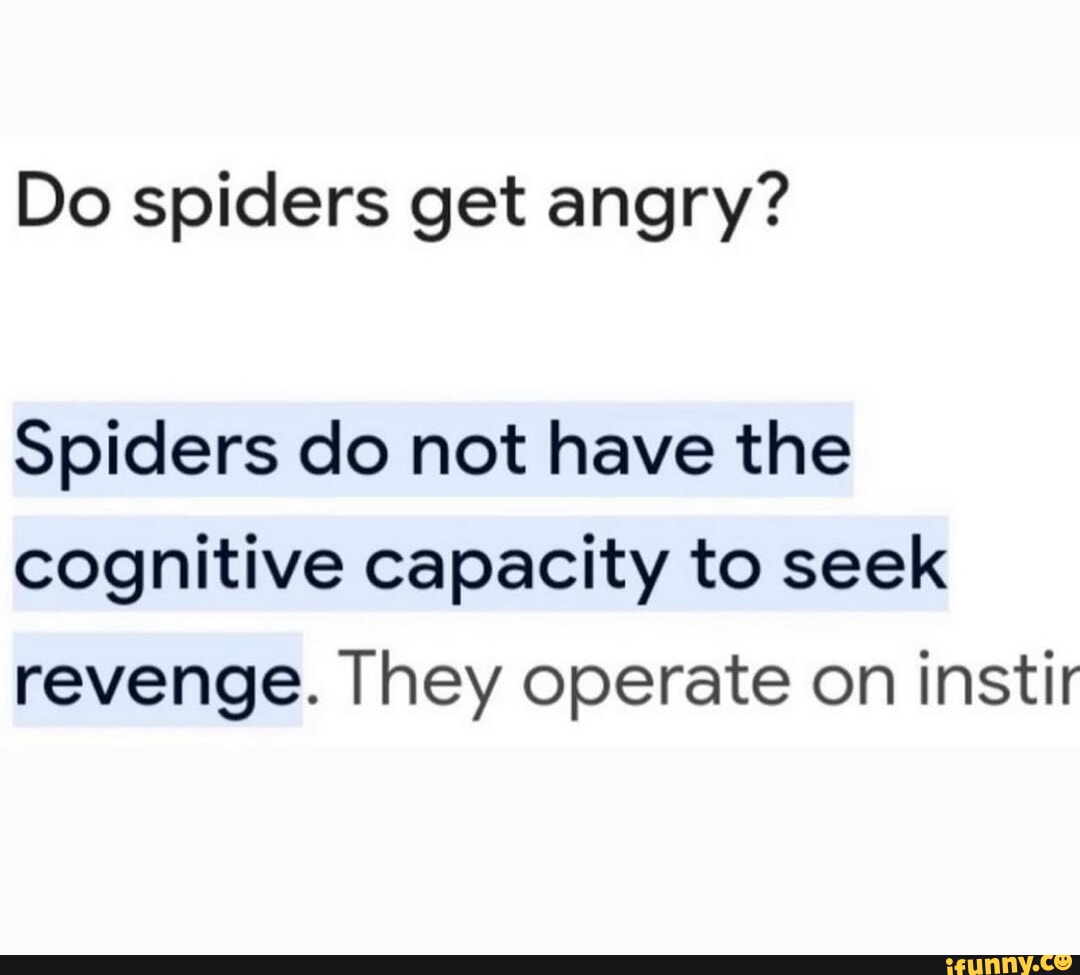 Do spiders get angry? Spiders do not have the cognitive capacity to ...