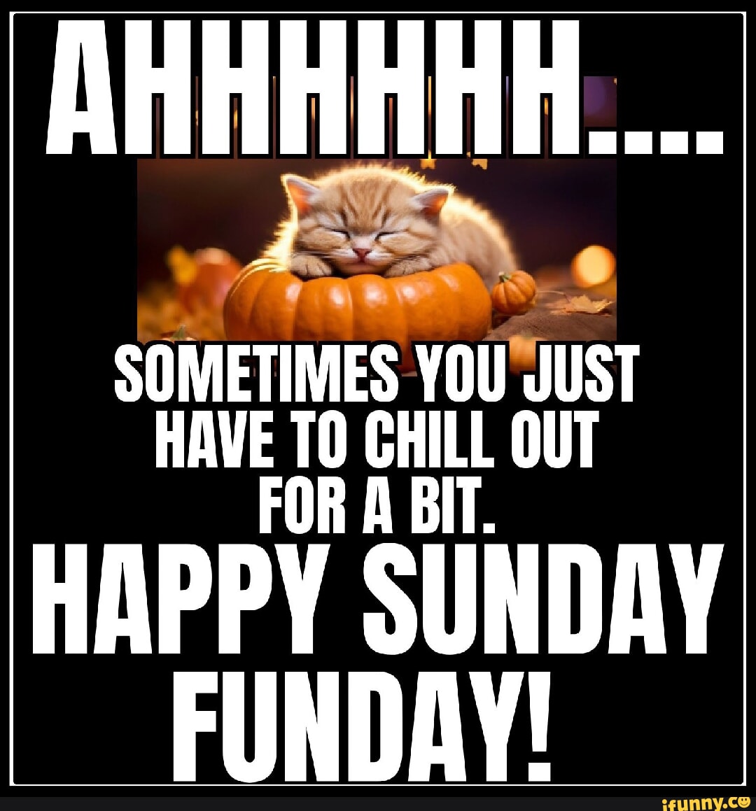 Sunday Funday Memes Funny