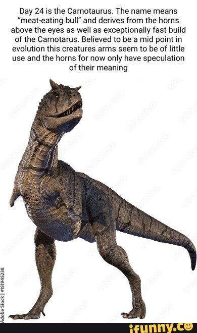 Carnotaurus memes. Best Collection of funny Carnotaurus pictures on iFunny