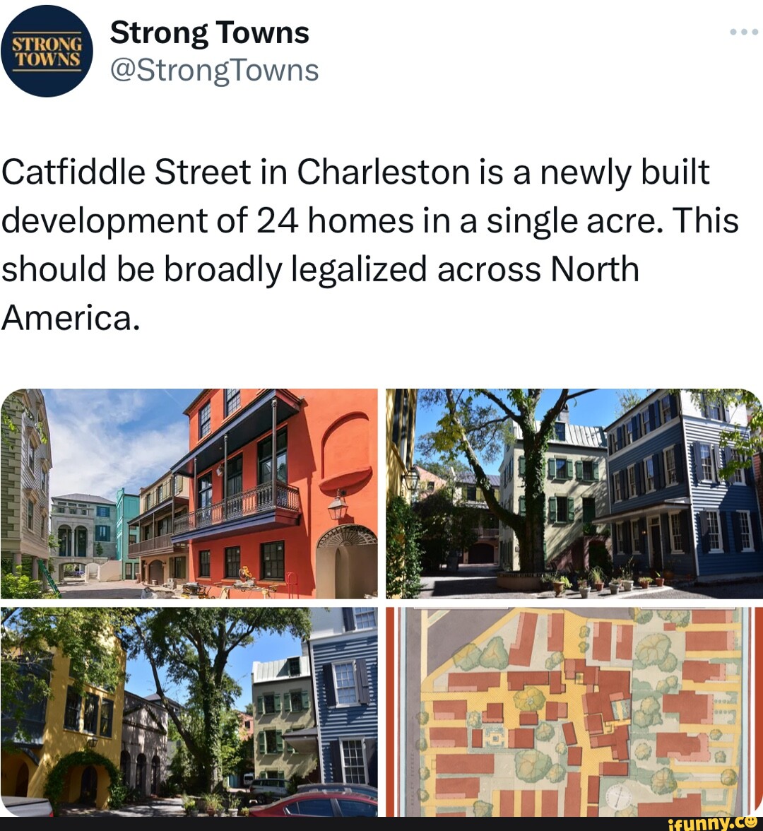 Catfiddle memes. Best Collection of funny Catfiddle pictures on iFunny