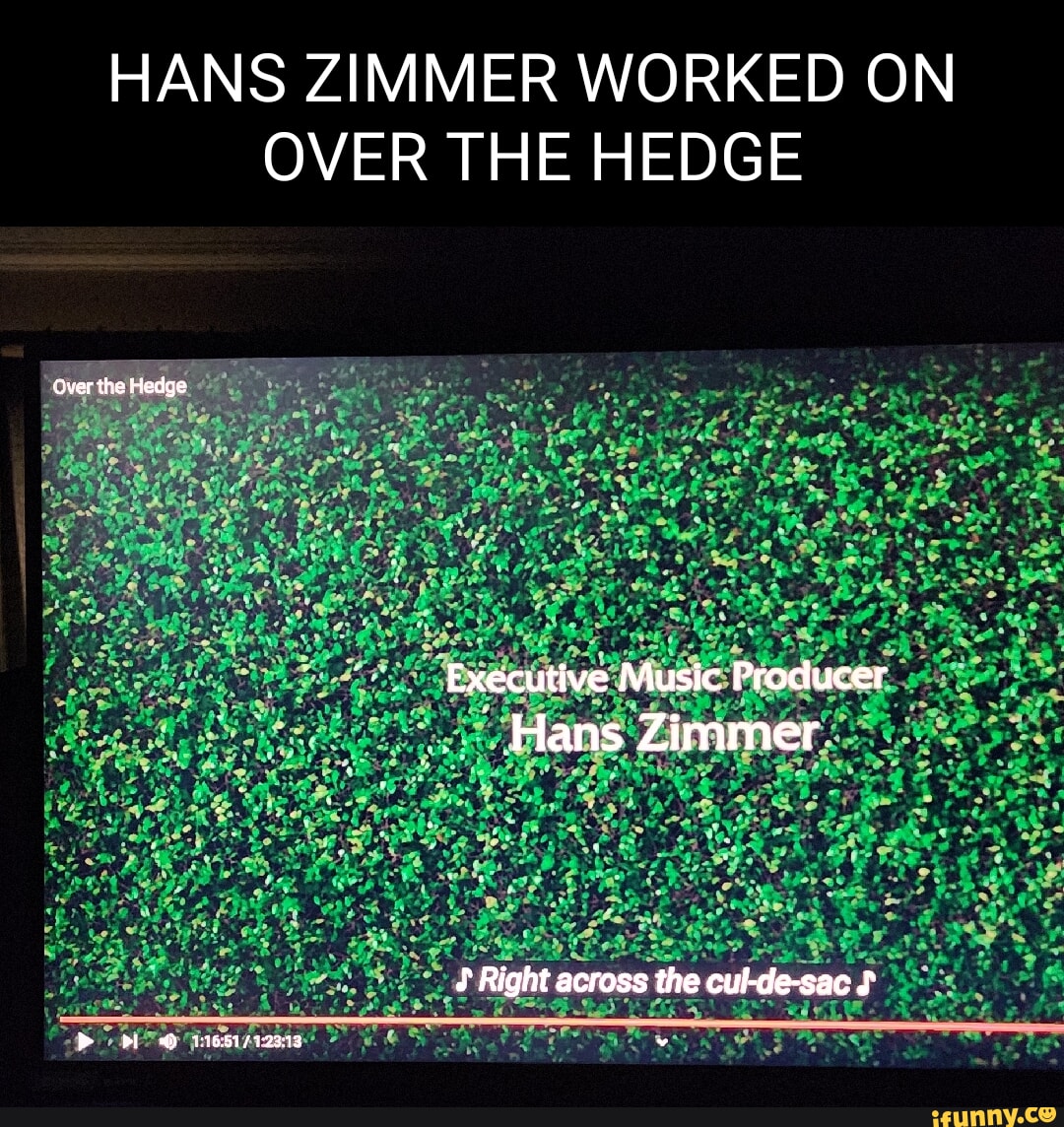 Zimmer memes. Best Collection of funny Zimmer pictures on iFunny