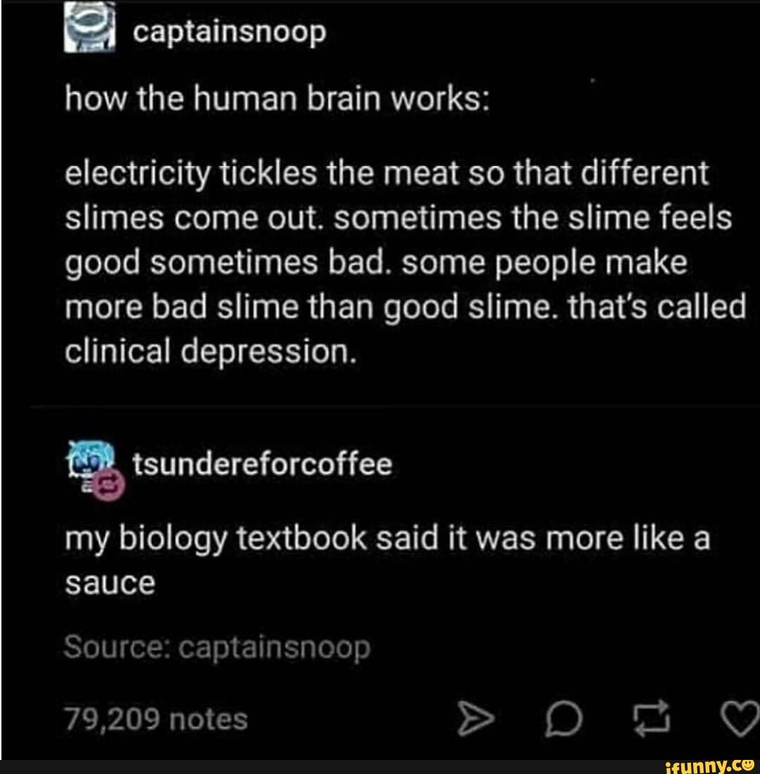 Captainsnoop How The Human Brain Works Electricity Tickles The Meat So captainsnoop-how-the-human-brain-works-electricity-tickles-the-meat-so
