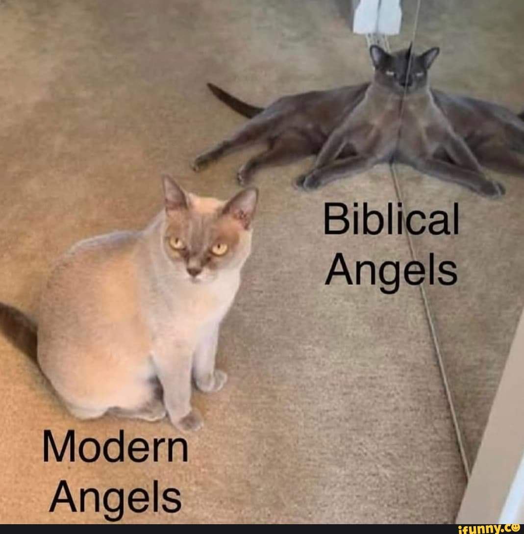 Anaels memes. Best Collection of funny Anaels pictures on iFunny