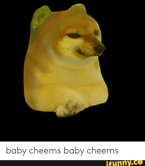 Baby cheems baby cheems - iFunny
