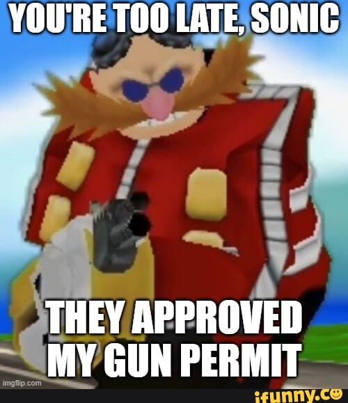 YOU'RE TOO LATE, SONIC CC. Cd THEY APPROVED MY GUN PERMIT - iFunny