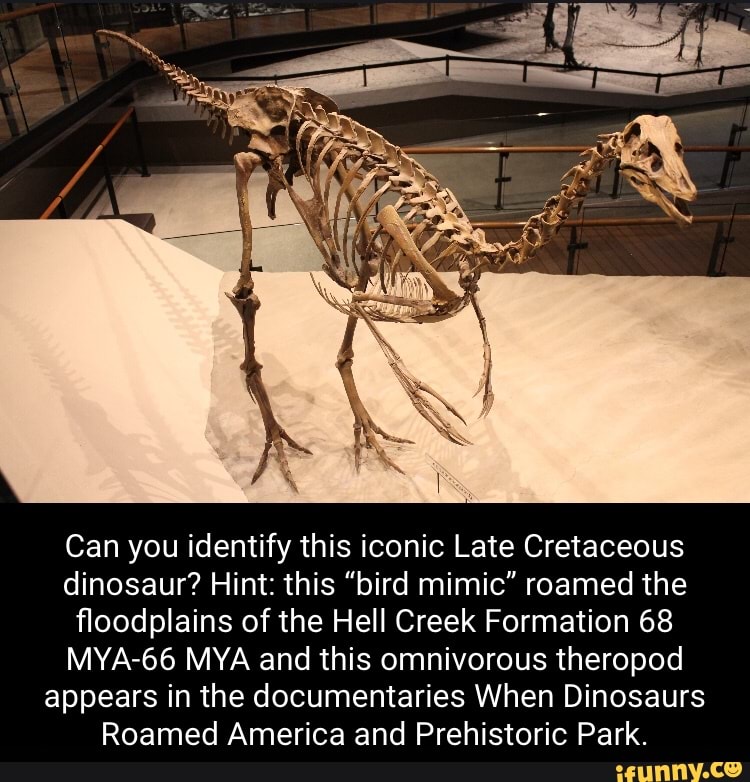 Can you identify this iconic Late Cretaceous dinosaur? Hint: this "bird ...