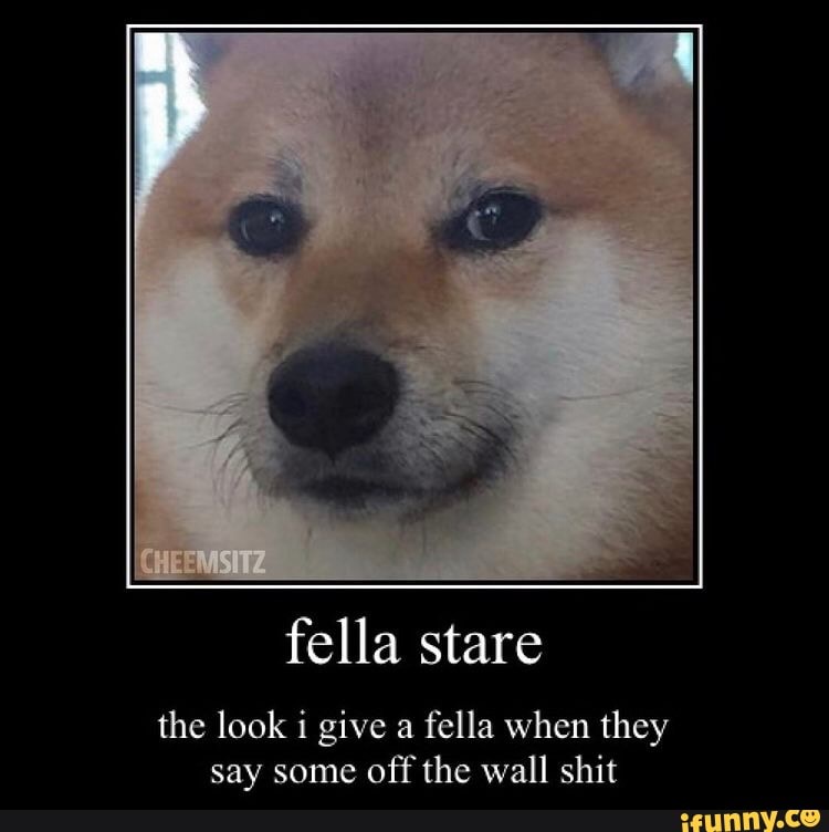 Fella stare the look i give a fella when they say some off the wall ...