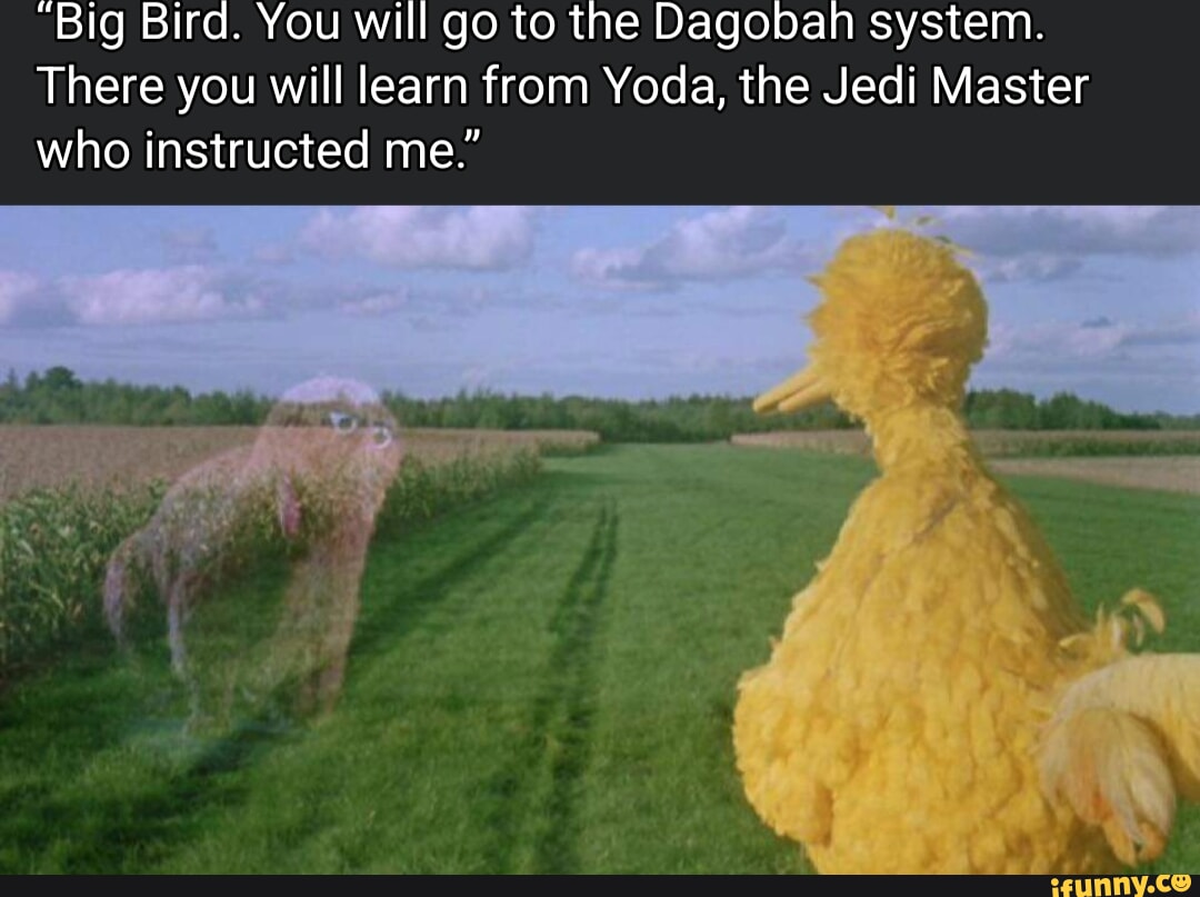 Big Bird. You will go to the Dagobah system. There you will learn from ...
