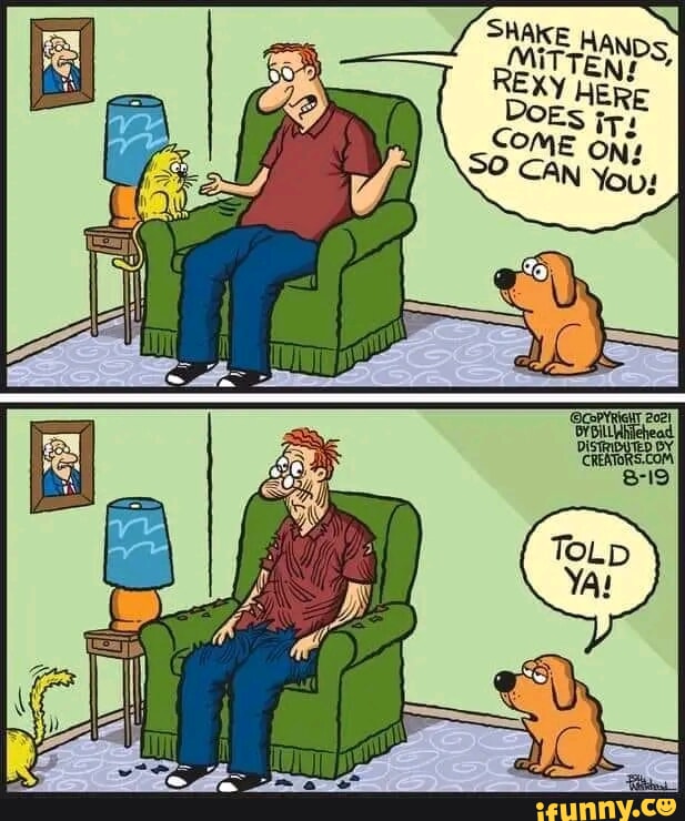 Yaela Vonk OFFICIAL ACCOUNT on Instagram - iFunny