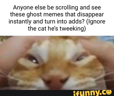 Anyone else be scrolling and see these ghost memes that disappear ...