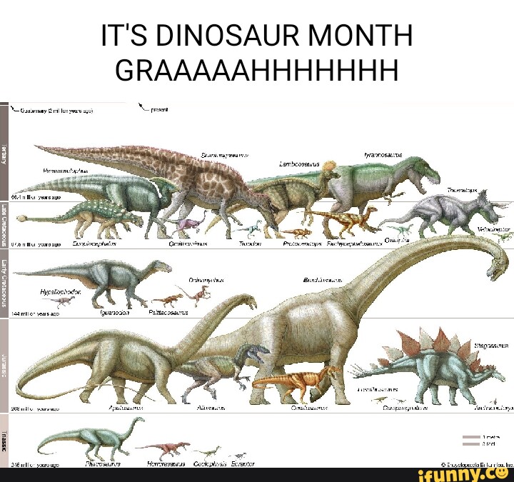 Theropoda memes. Best Collection of funny Theropoda pictures on iFunny
