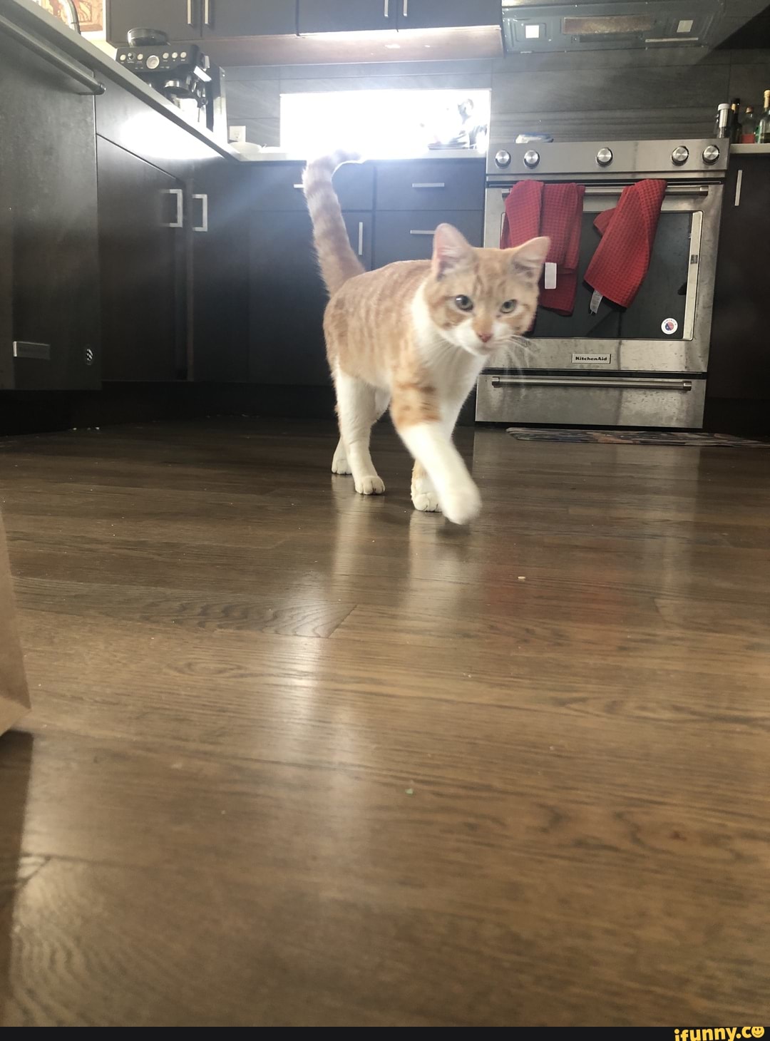 Due_diligence memes. Best Collection of funny Due_diligence pictures on ...