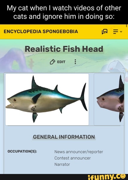 Spongebobia memes. Best Collection of funny Spongebobia pictures on iFunny