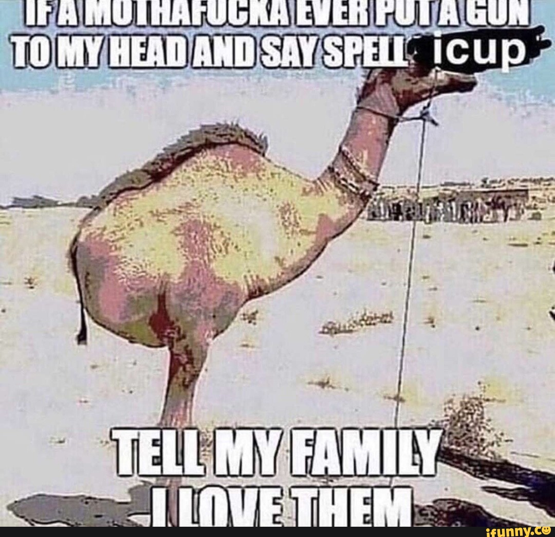 Icup memes. Best Collection of funny Icup pictures on iFunny