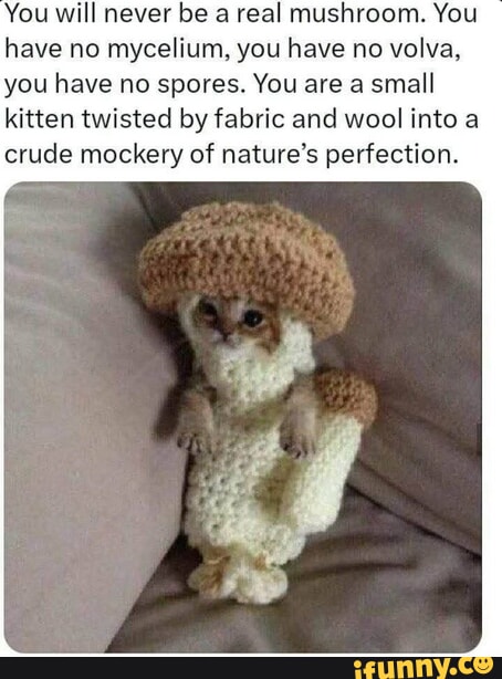 Mockery memes. Best Collection of funny Mockery pictures on iFunny