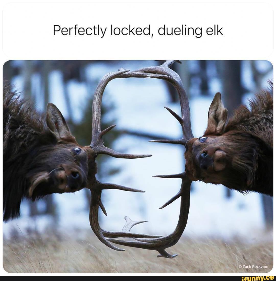 Picture memes rgmIHKOT6 by Size: 123 comments - )