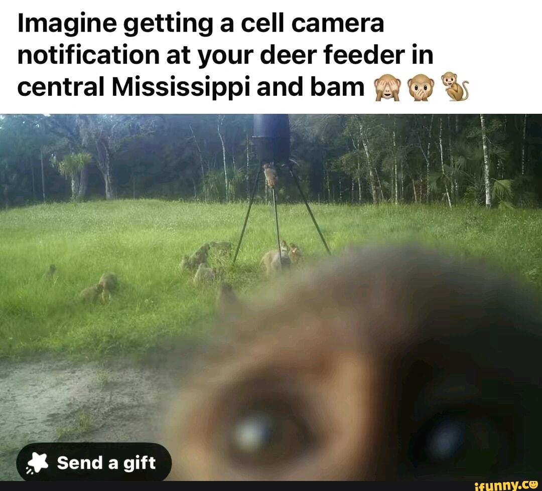 Imagine getting a cell camera notification at your deer feeder in ...
