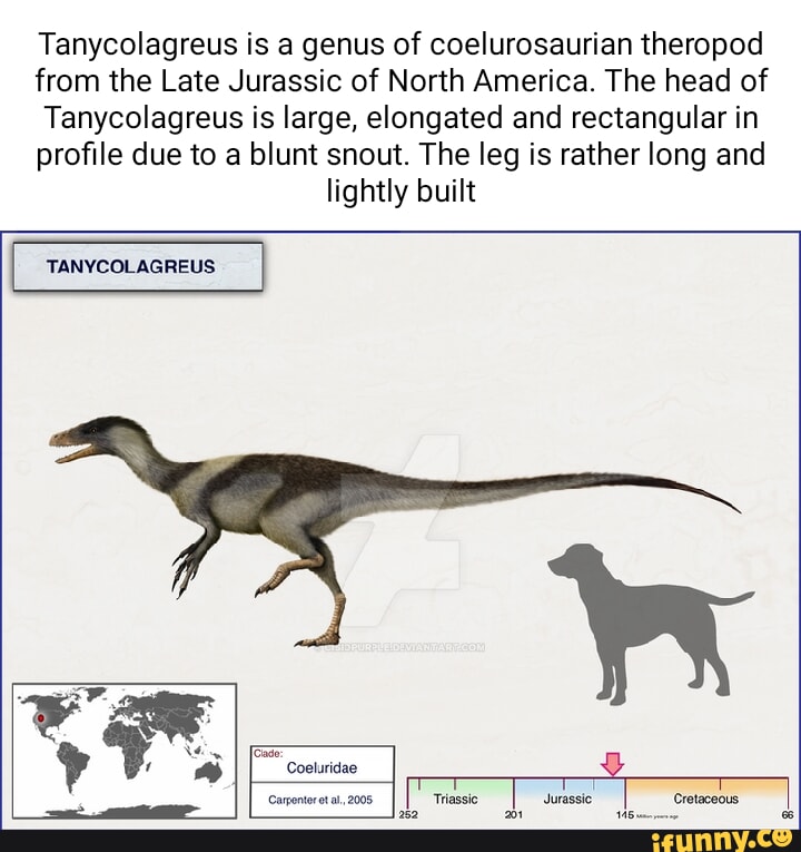 Rectangular memes. Best Collection of funny Rectangular pictures on iFunny