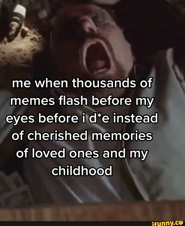 Me when thousands of memes flash before my eyes before d*e instead of ...