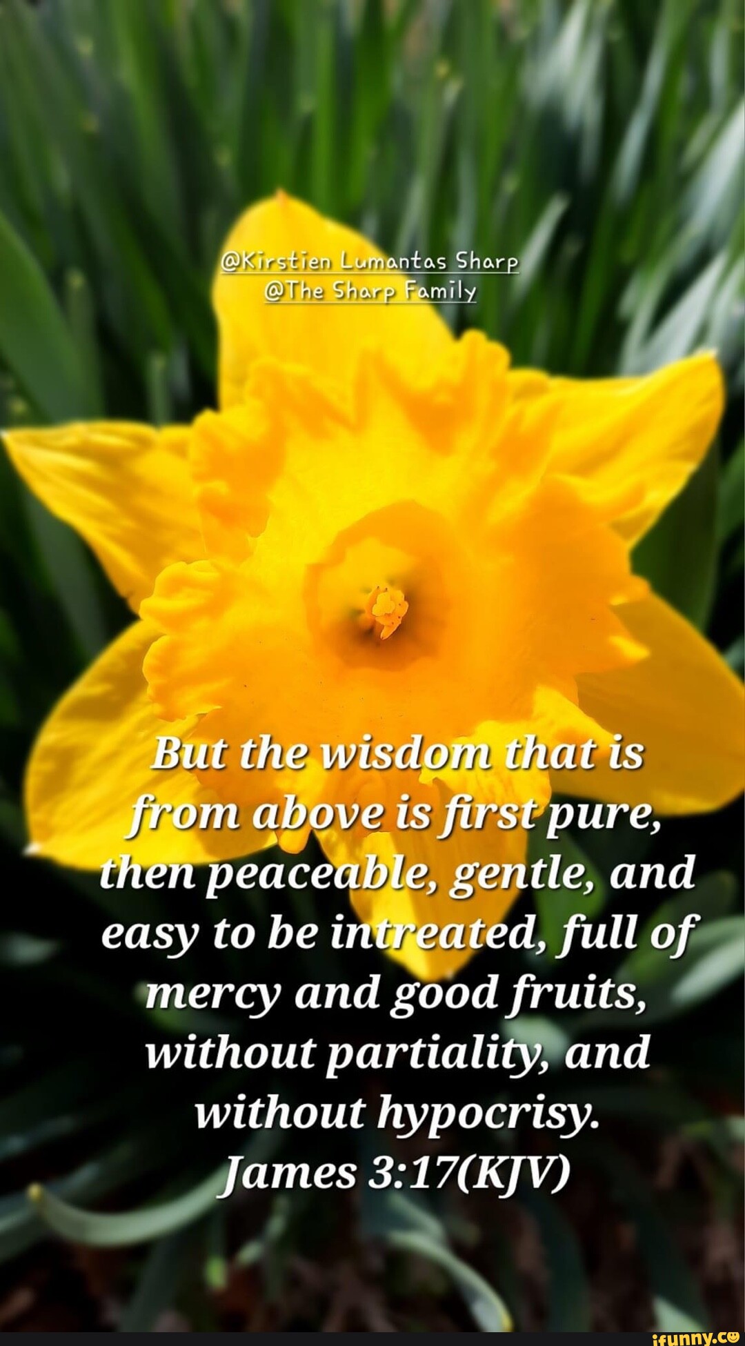 @kirstien Lumantas Sharp But the wisdom that ts from above ts first ...