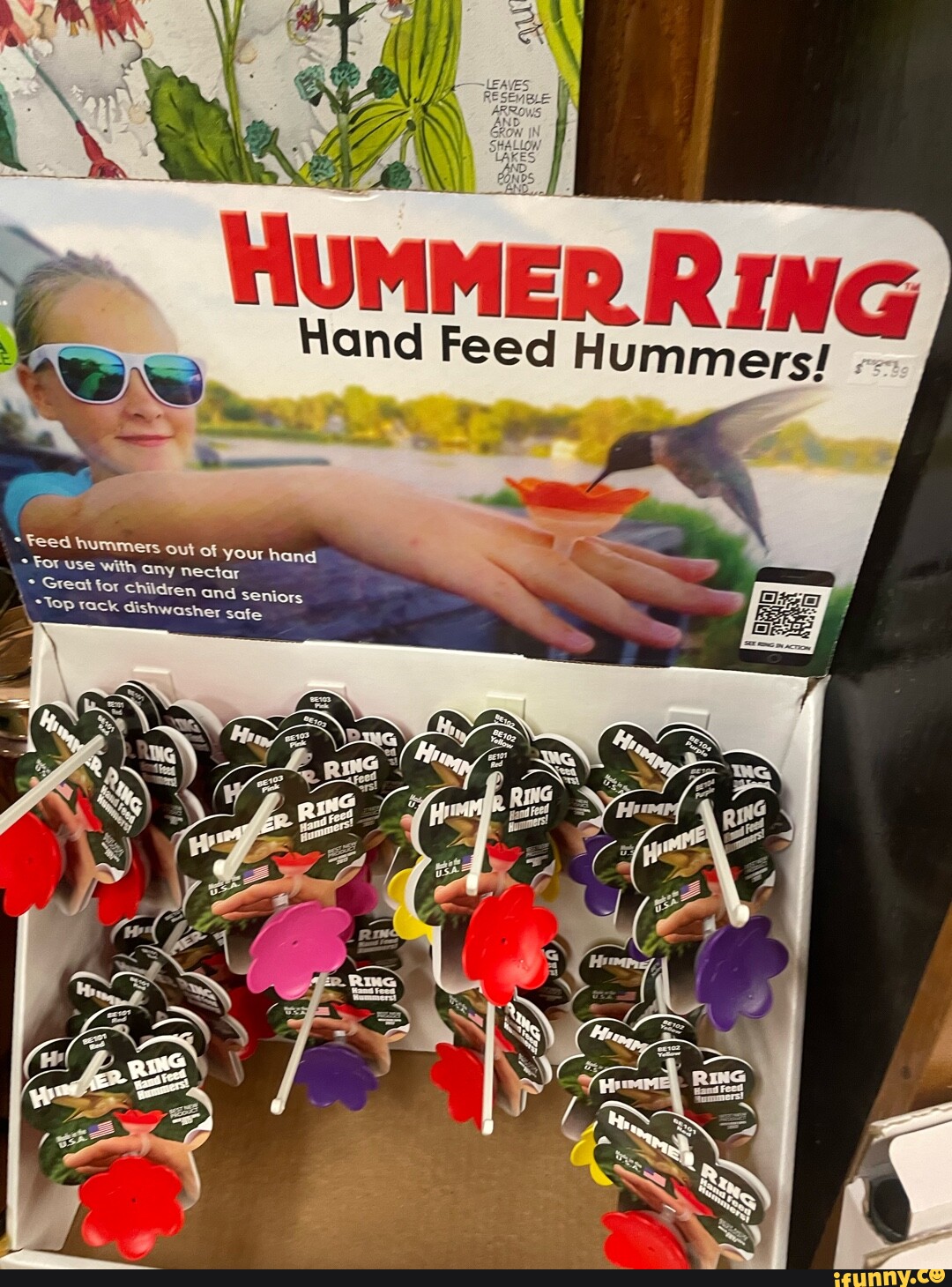 I I HUMMER RING Hand Feed Hummers! feed hummers out of your hand For ...