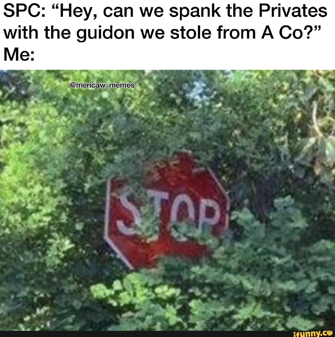 SPC: "Hey, can we spank the Privates with the guidon we stole from A Co ...