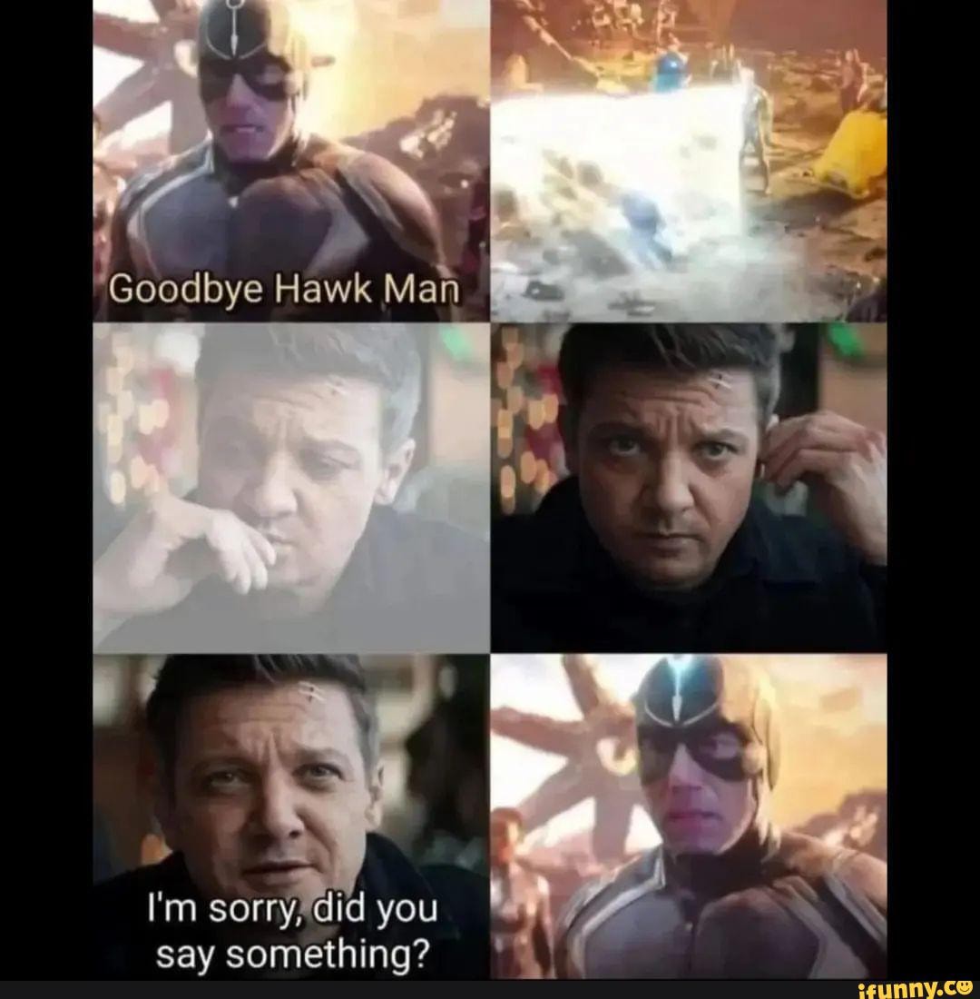 Goodbye Hawk Man I ) \ you eay - iFunny