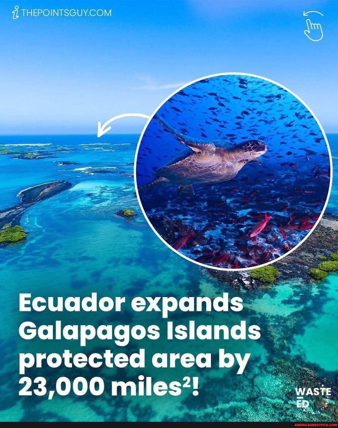 Ecuador expands Galapagos Islands protected area by 23,000 miles ...