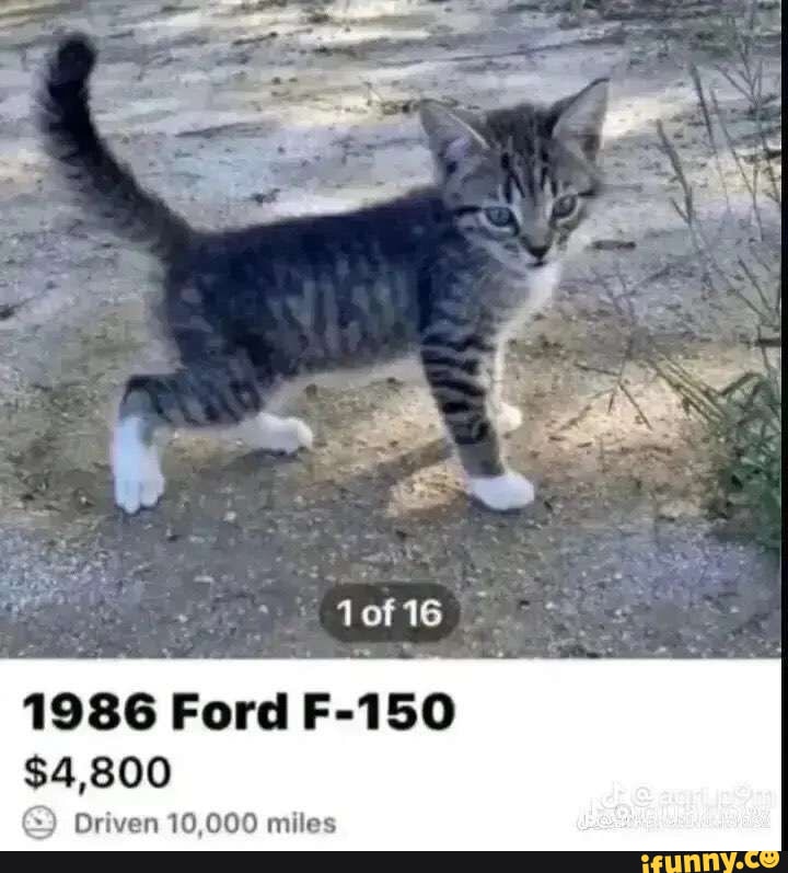 F150 memes. Best Collection of funny F150 pictures on iFunny