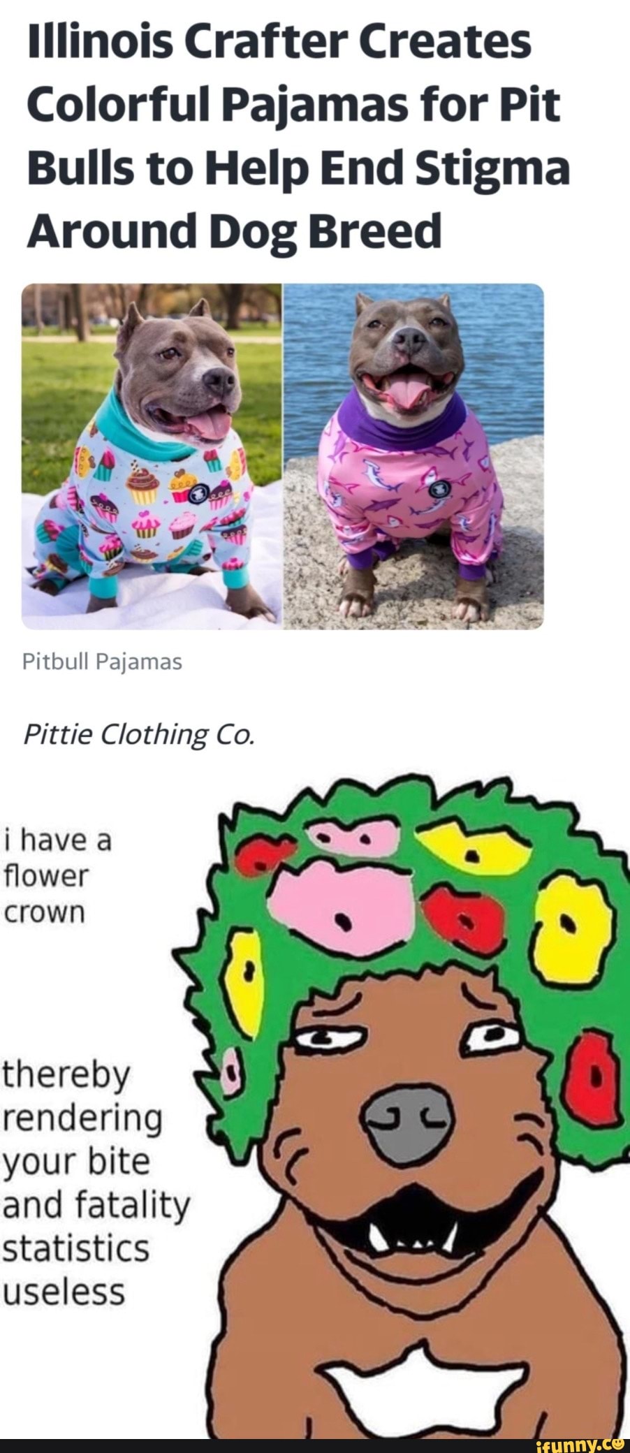 Pittie memes. Best Collection of funny Pittie pictures on iFunny