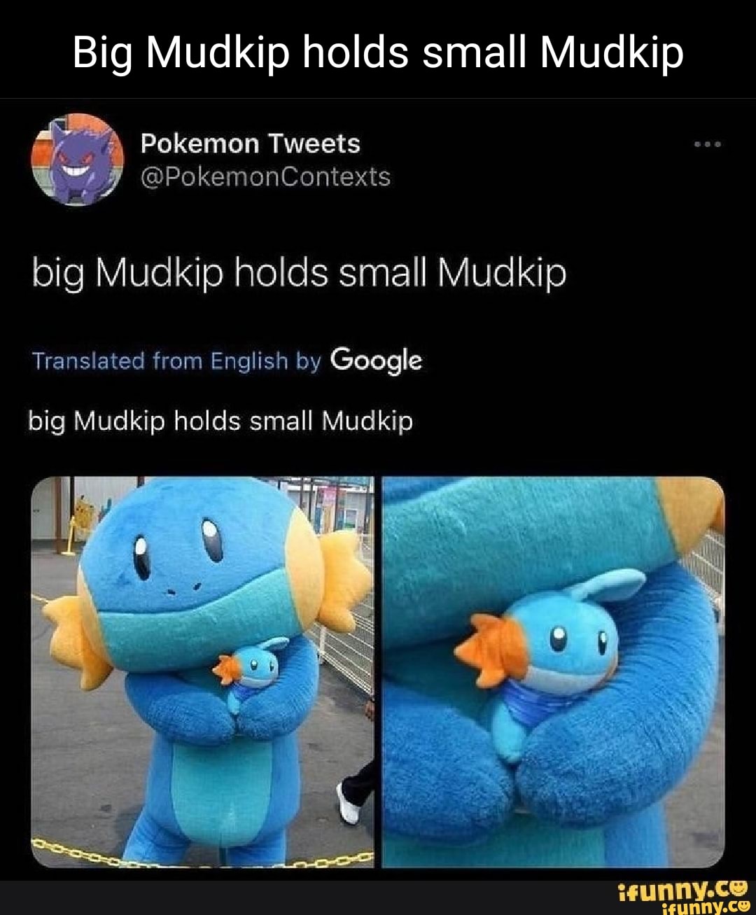 Big Mudkip holds small Mudkip Pokemon Tweets @PokemonContexts big ...