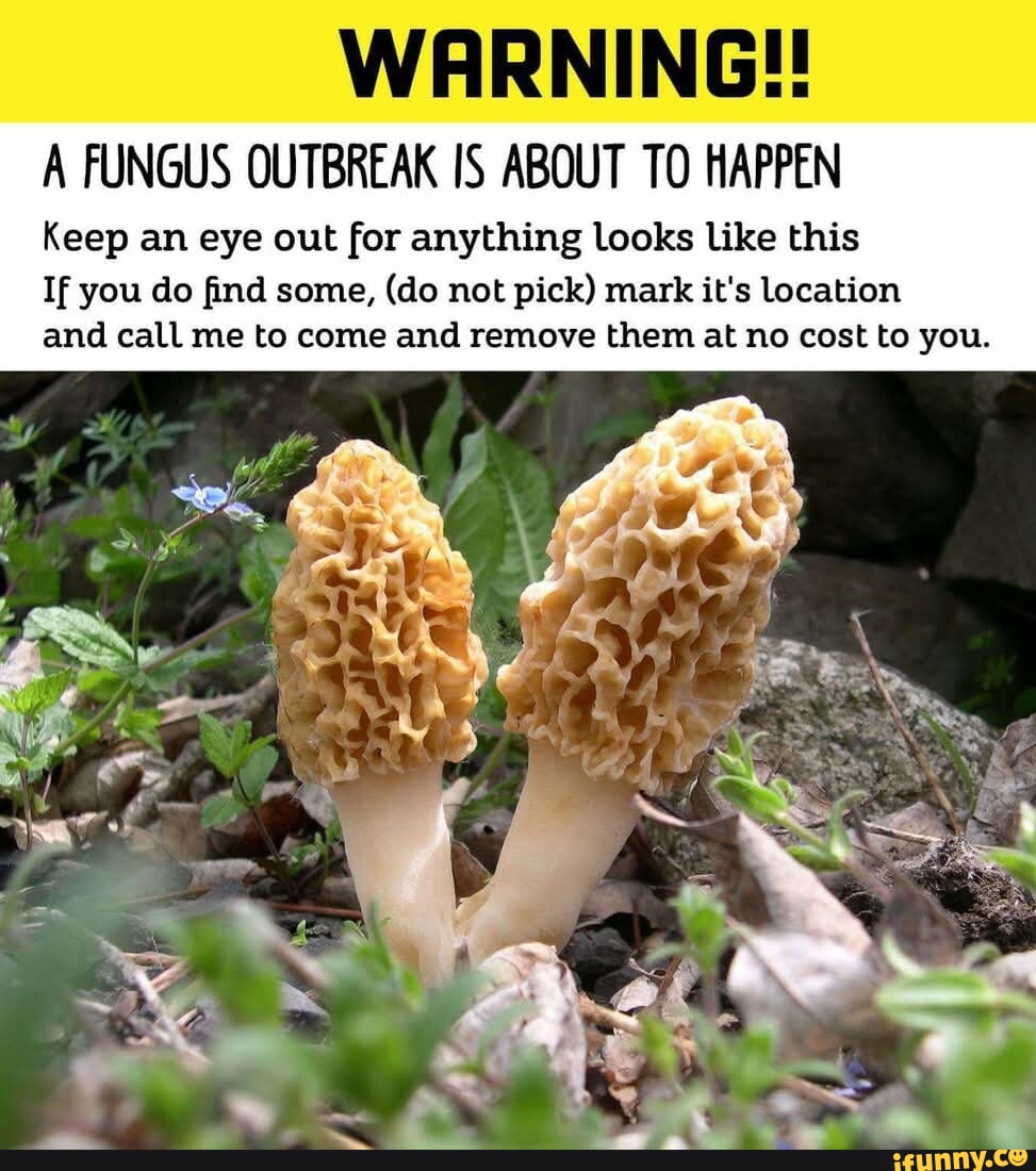 WARNING!! A FUNGUS OUTBREAK IS ABOUT TO HAPPEN Keep an eye out for ...