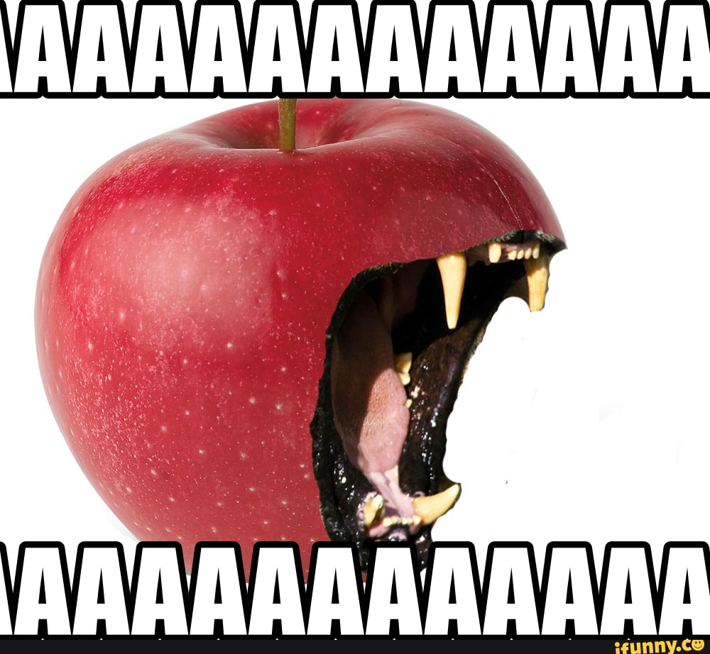 Aaaaaaaaaaaaaaaaaaah memes. Best Collection of funny ...