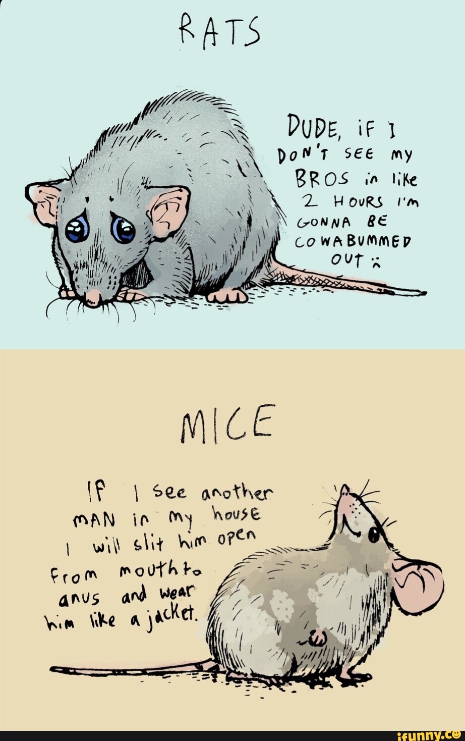 Don memes. Best Collection of funny Don pictures on iFunny