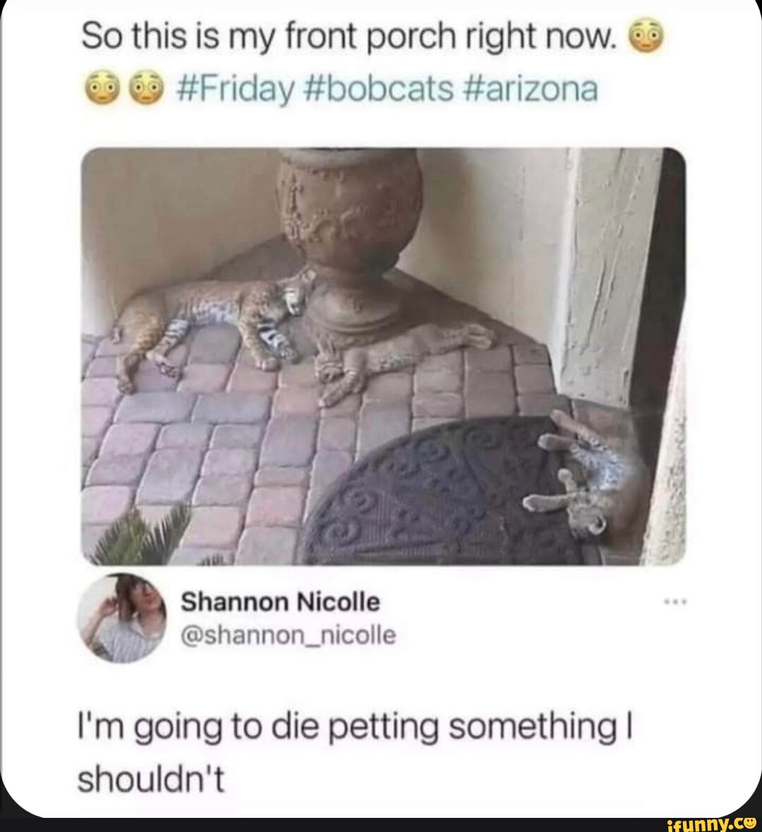 Nicolle memes. Best Collection of funny Nicolle pictures on iFunny