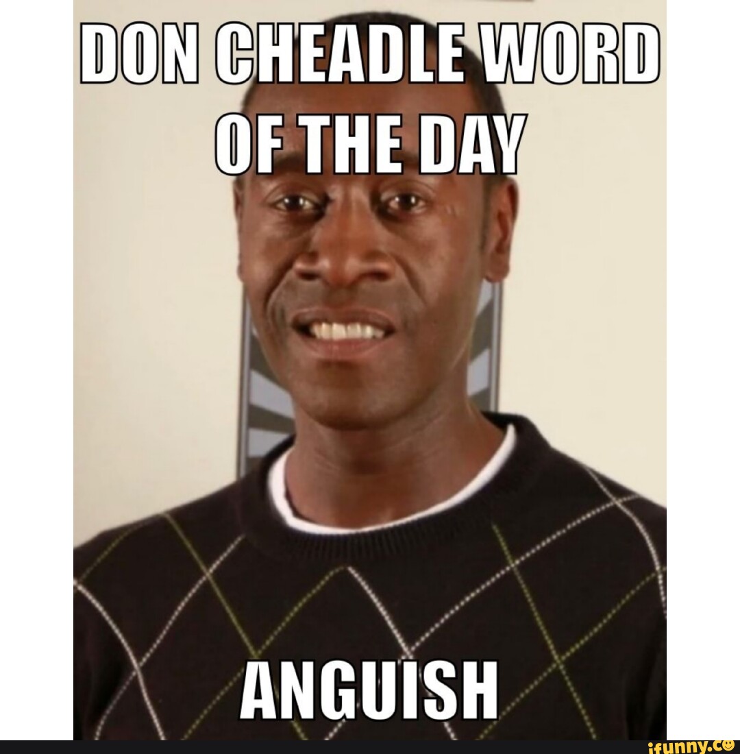 DON CHEADLE WORD OF THE DAY ANGUISH - iFunny