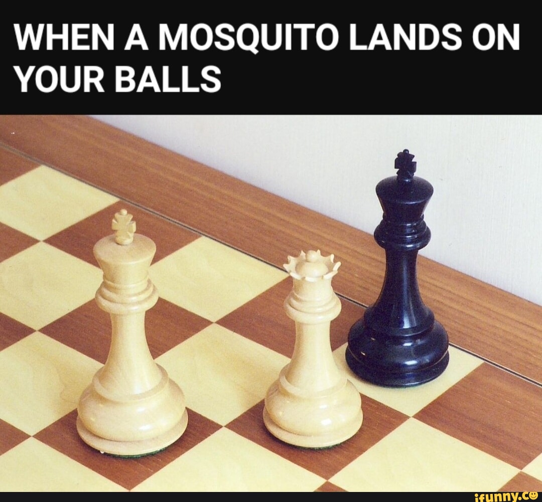 Mosquito memes. Best Collection of funny Mosquito pictures on iFunny